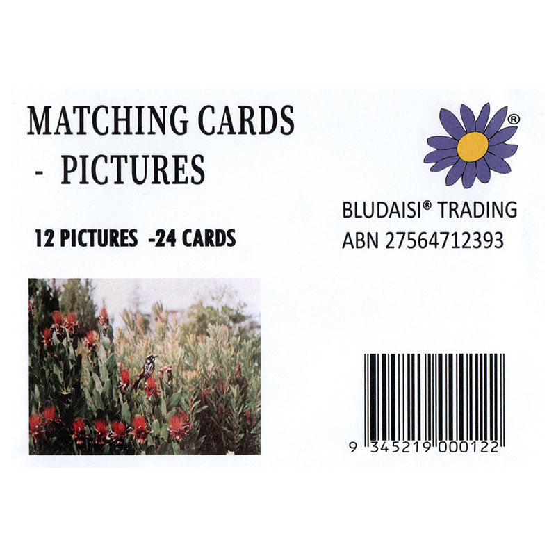 Picture Dominoes - Matching Cards – BLU DAISI® Games