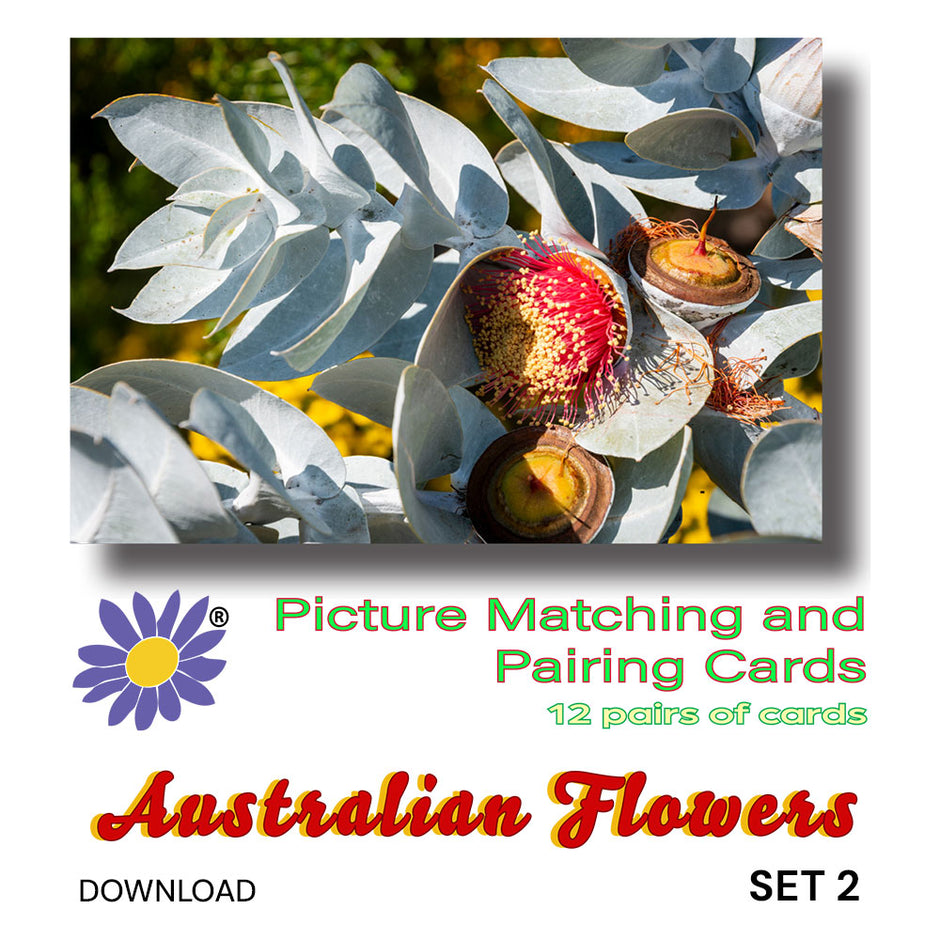Picture Matching and Pairing Cards - Australian Flowers(Digital) – BLU ...