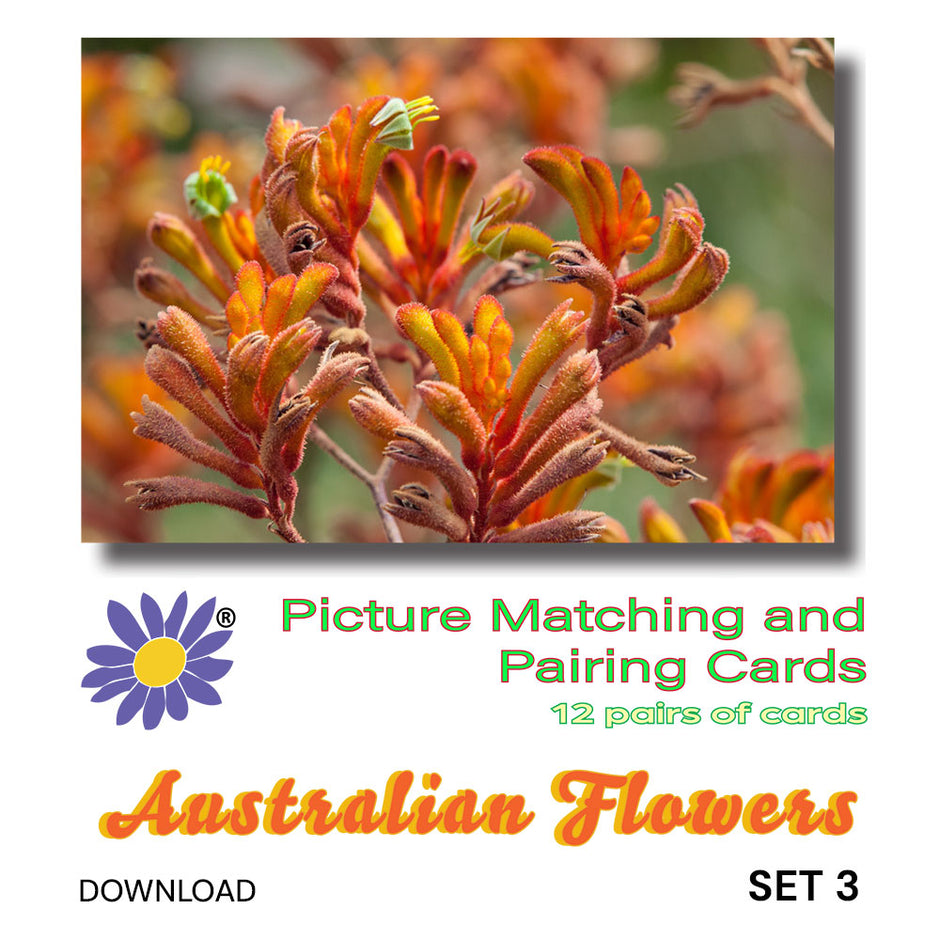 Picture Matching and Pairing Cards - Australian Flowers(Digital) – BLU ...