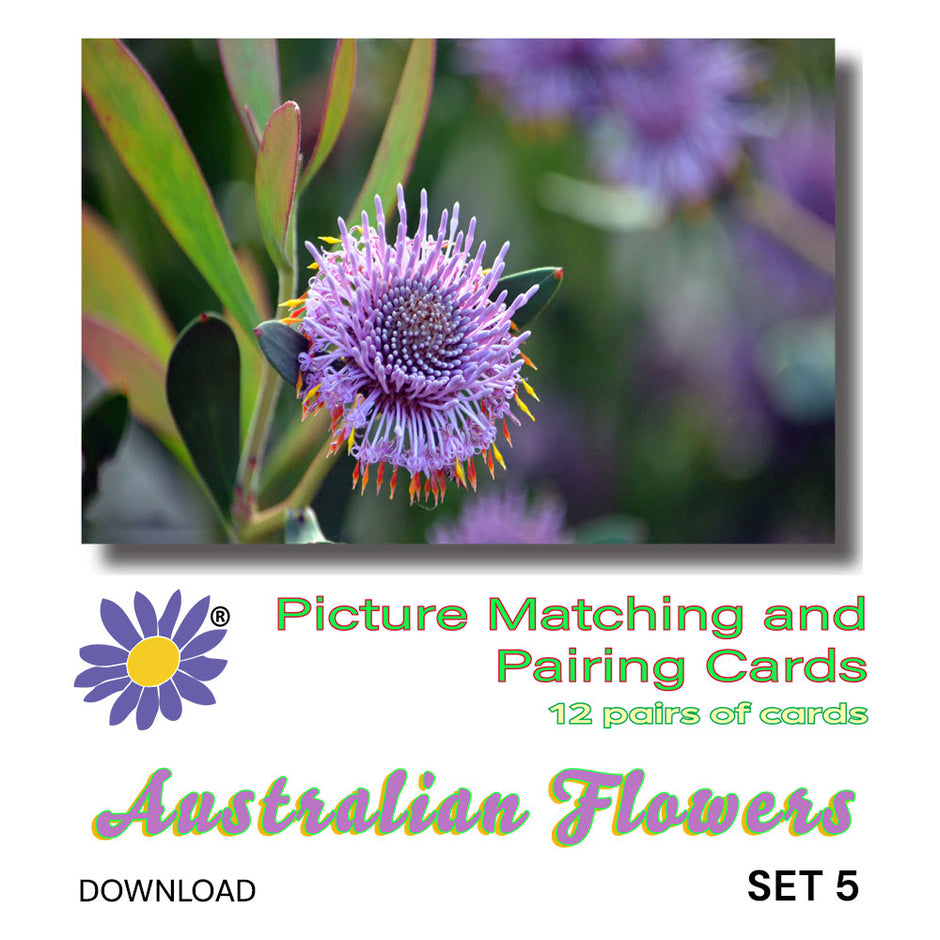 Picture Matching and Pairing Cards - Australian Flowers(Digital) – BLU ...