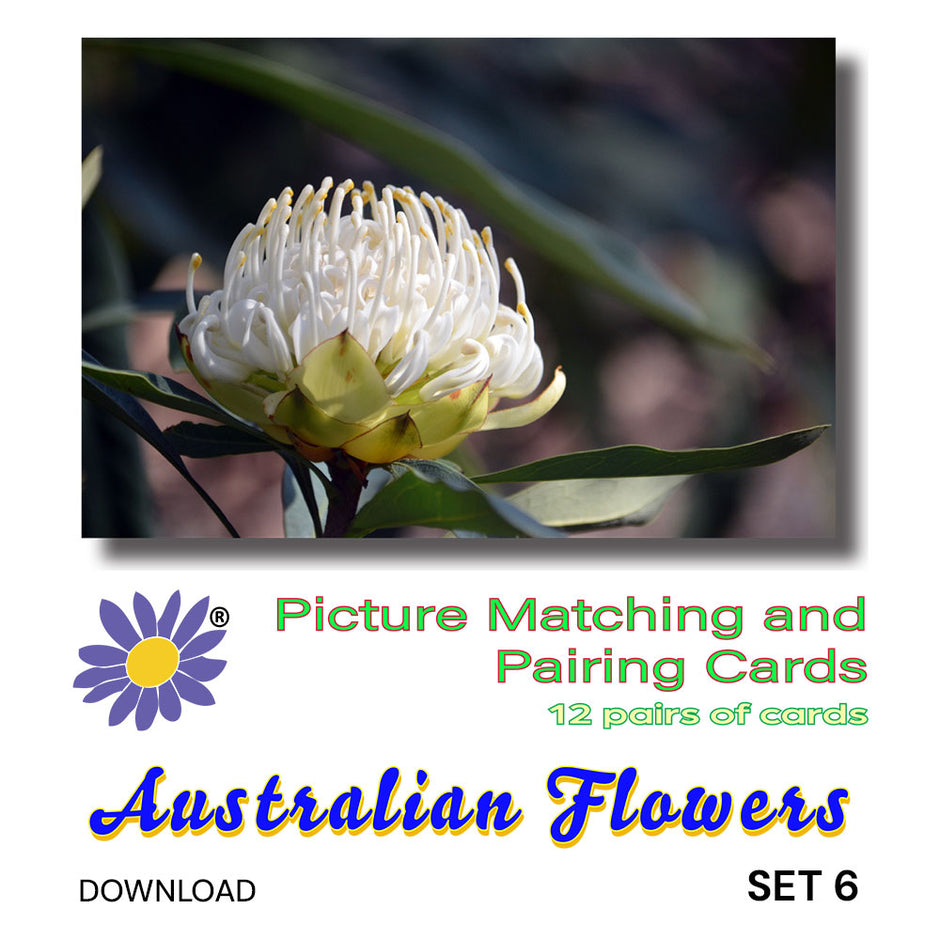 Picture Matching and Pairing Cards - Australian Flowers(Digital) – BLU ...