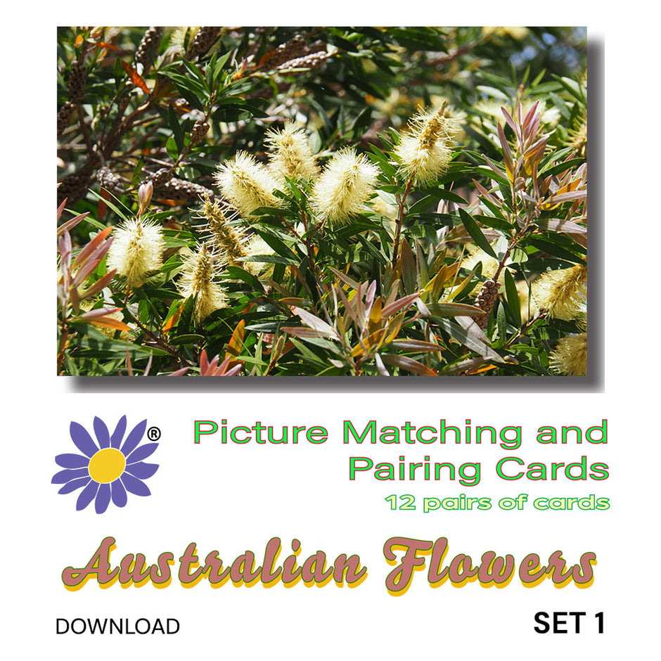 Picture Matching and Pairing Cards - Australian Flowers(Digital) – BLU ...